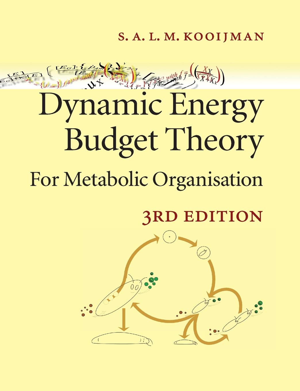 Amazon.com: Dynamic Energy Budget Theory for Metabolic Organisation ...
