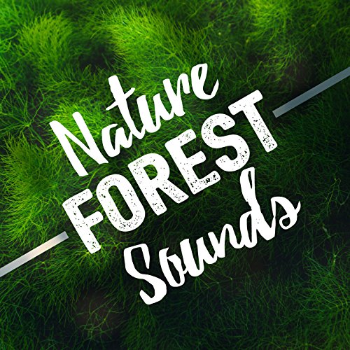 Play Nature Forest Sounds by Natural Forest Sounds on Amazon Music