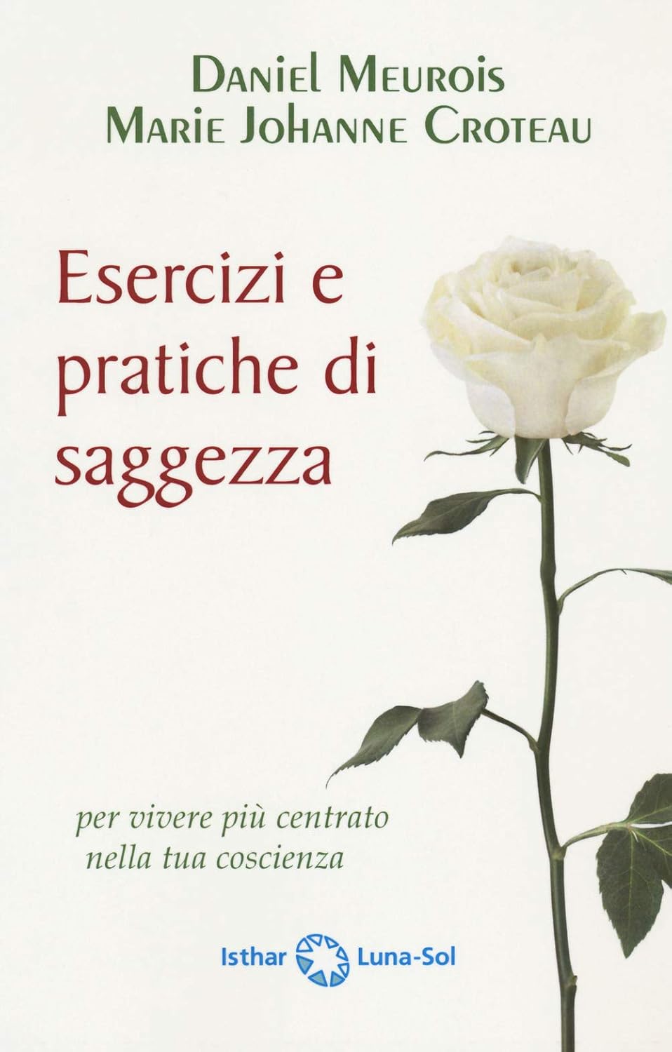 Esercizi e pratiche di saggezza: Per vivere in allineamento con la ...