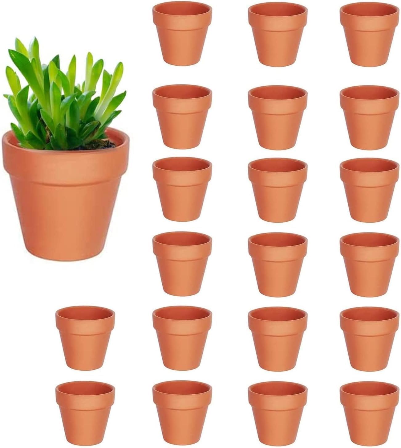 JAONLD 20 Pcs Small Clay Flower Pots 4.5 cm Terracotta Plant Pots Tiny ...