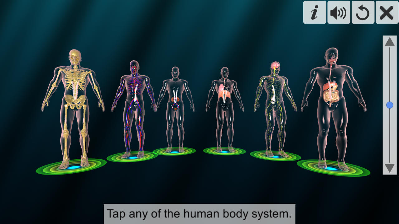 Incredible human body system - App on Amazon Appstore