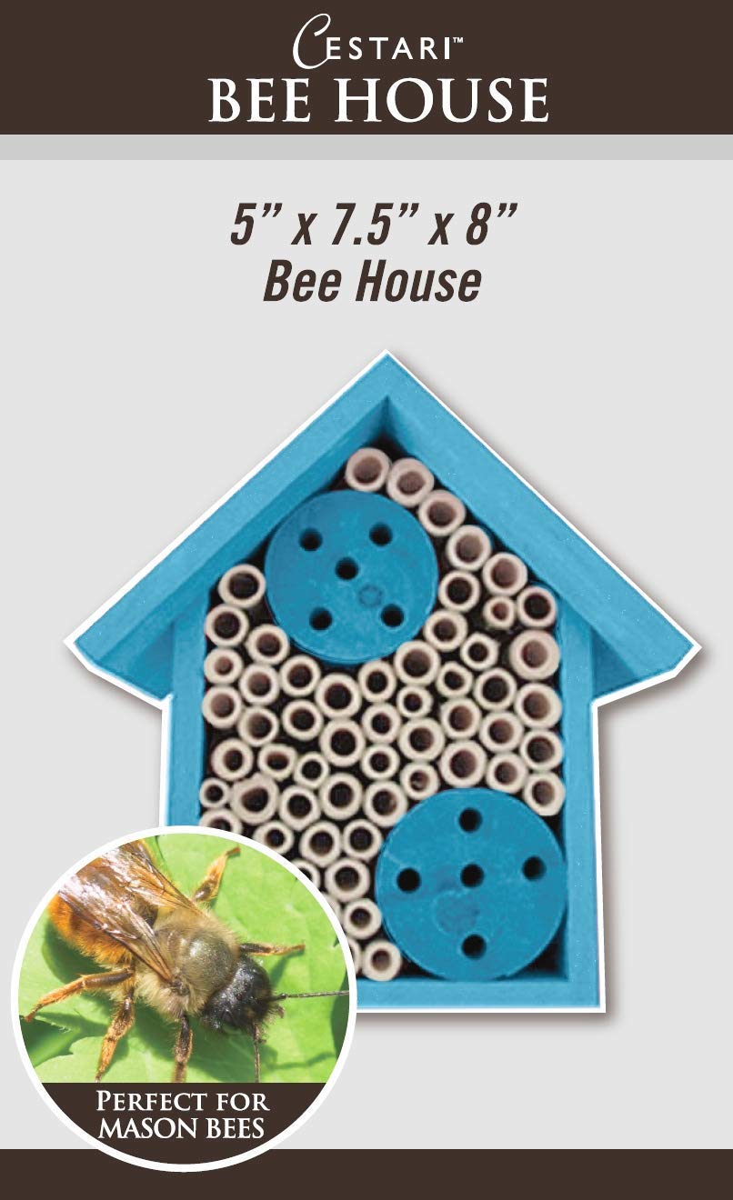 Snapklik.com : Mason Bee Houses And Supplies : Hand Made Bamboo Tube ...