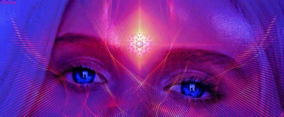 Amazon.co.uk: Shaun Walker: books, biography, latest update