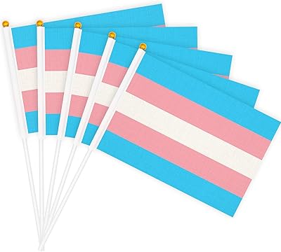 Amazon.com : 50 Pack Transgender Flag Rainbow Pride Stick Flag, Small ...