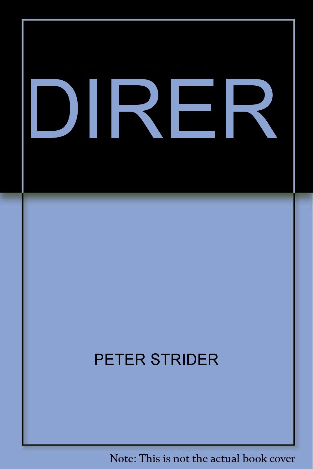 DIRER: Peter Strider: Amazon.com: Books