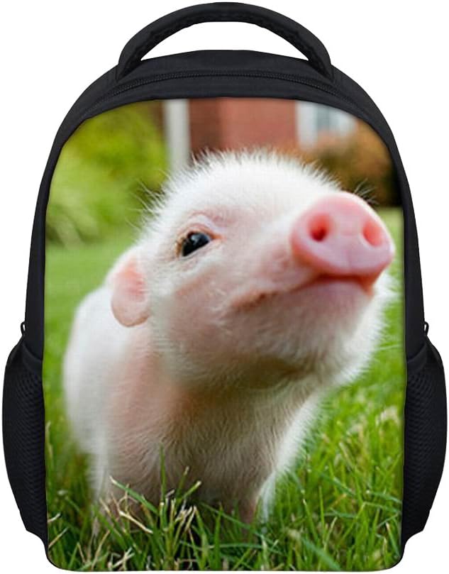 Amazon.com | Beauty Collector 3d Pig Toddler Backpack for Preschool ...