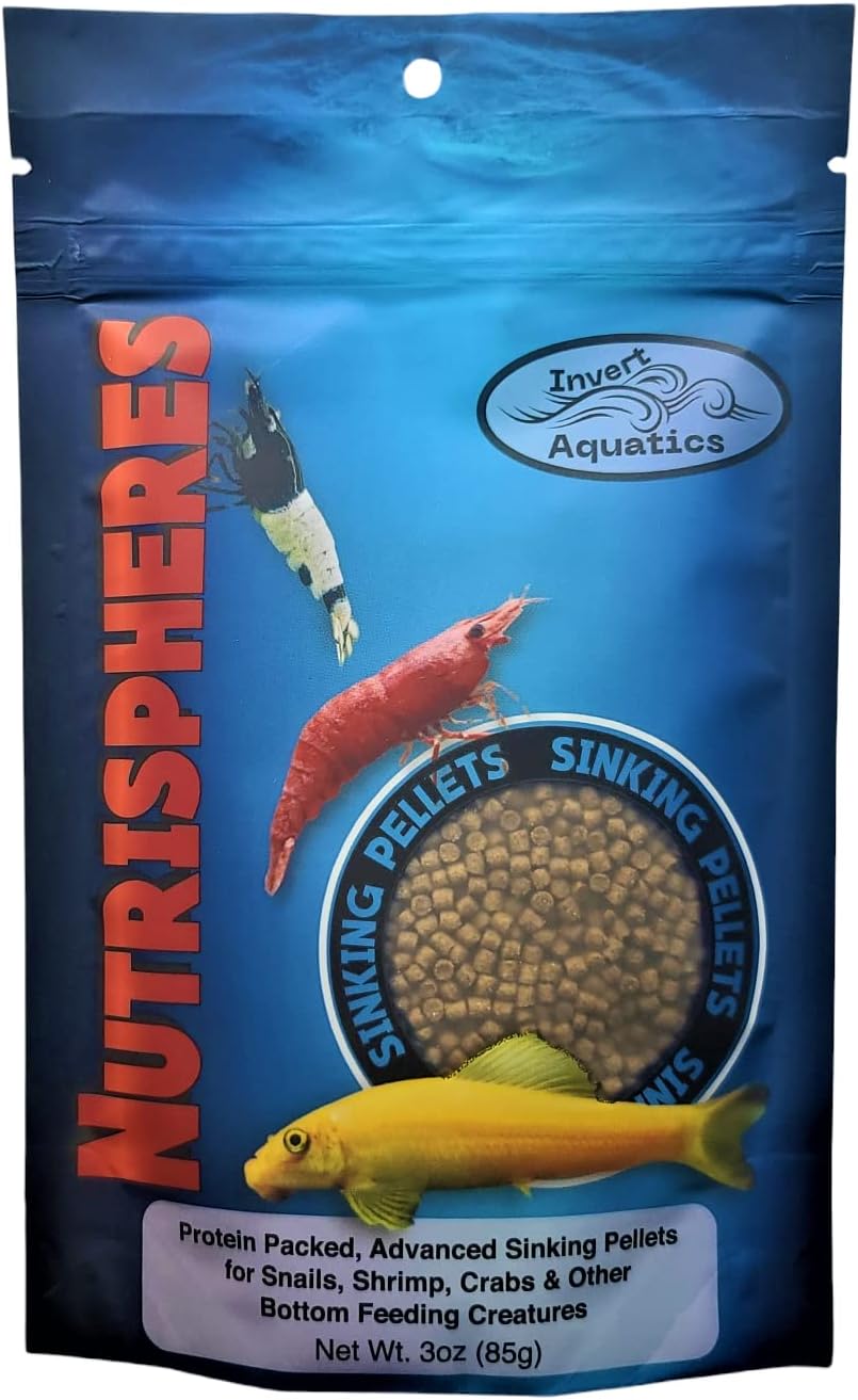 Amazon.com : Invert Aquatics NutriSpheres - Sinking Diet for Snails ...