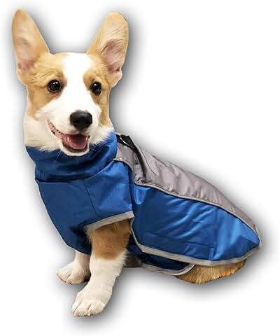 Amazon.com: corgi raincoat