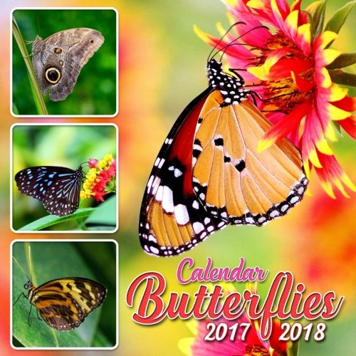 Butterflies Calendar: 16 Month Calendar with Beautiful Butterflies ...