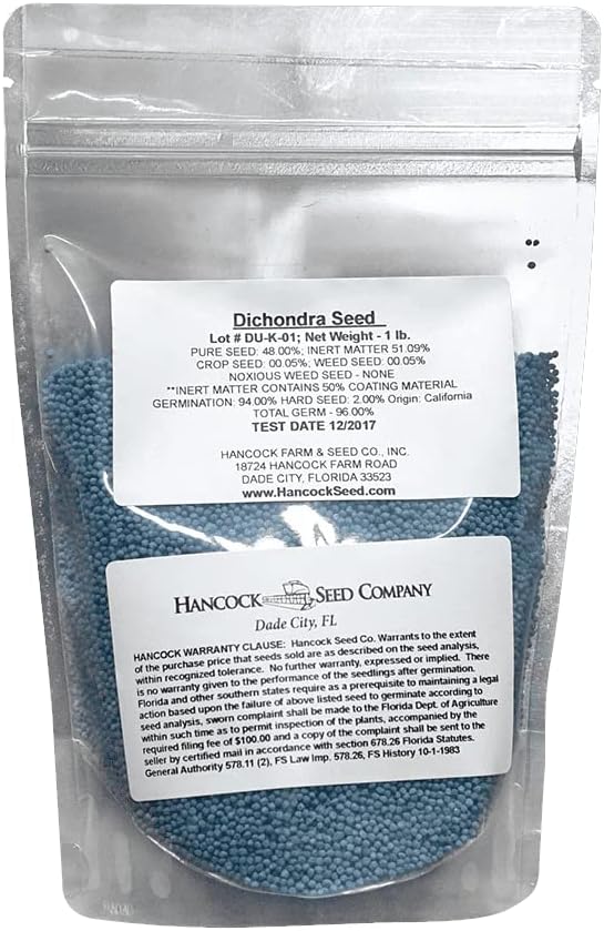 Amazon.com : Hancock Seed Co. Dichondra Seeds, 5 lbs. : Patio, Lawn ...