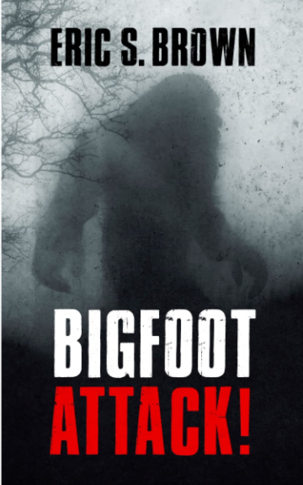 Bigfoot Attack!: Brown, Eric S.: 9781922861030: Amazon.com: Books