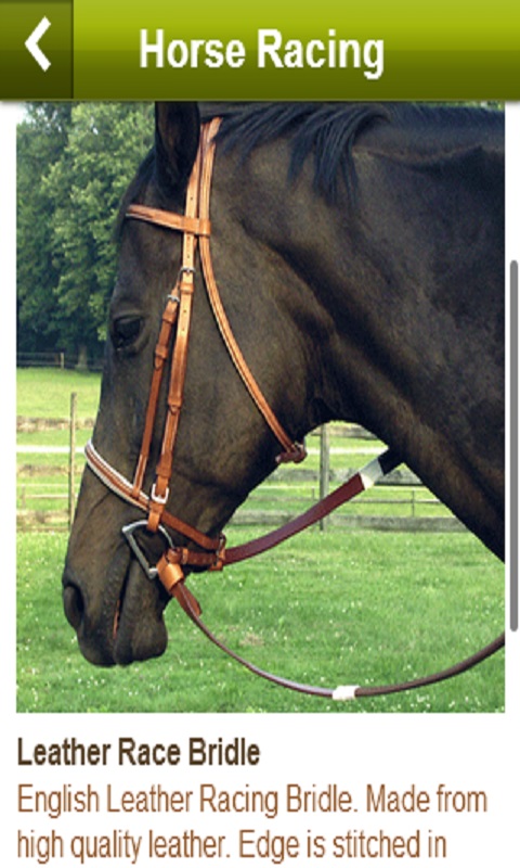 Horse Racing - App on Amazon Appstore