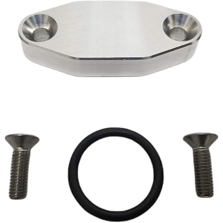 Amazon.com: Z Whip LS Billet Oil Port Plate On Oil Pan for Gen III IV ...