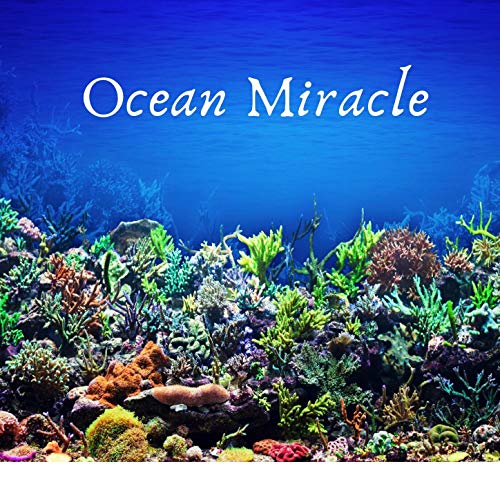 Amazon.com: Ocean Miracle : Selective Sounds PTA, Granular and Sampling ...