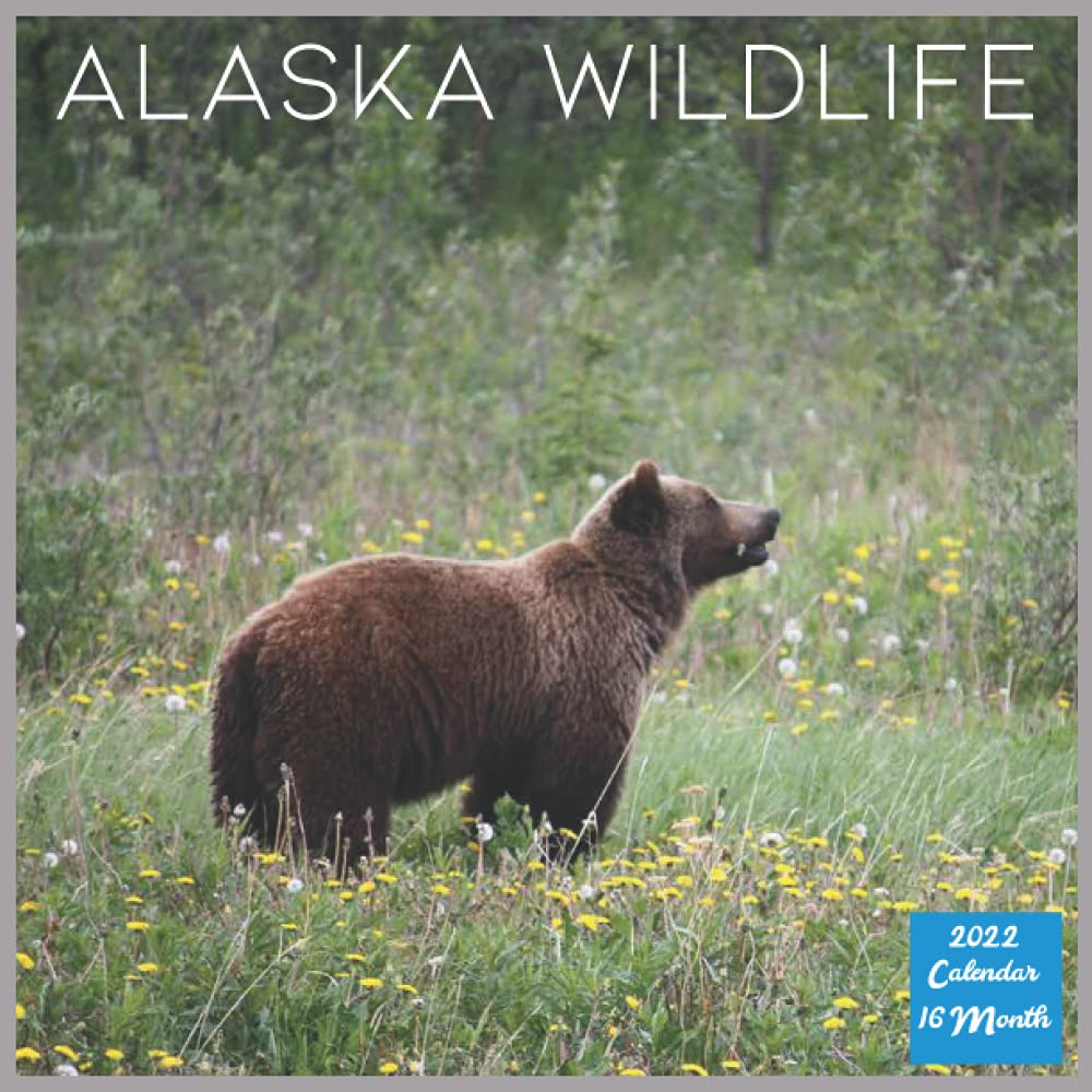Buy Alaska Wildlife 2022 : Official Alaska Wildlife 2022 , 16 Month ...
