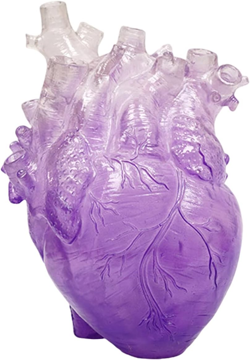 Amazon.com: MANMAOHE Anatomical Heart Vase Clear Human Heart Shaped ...