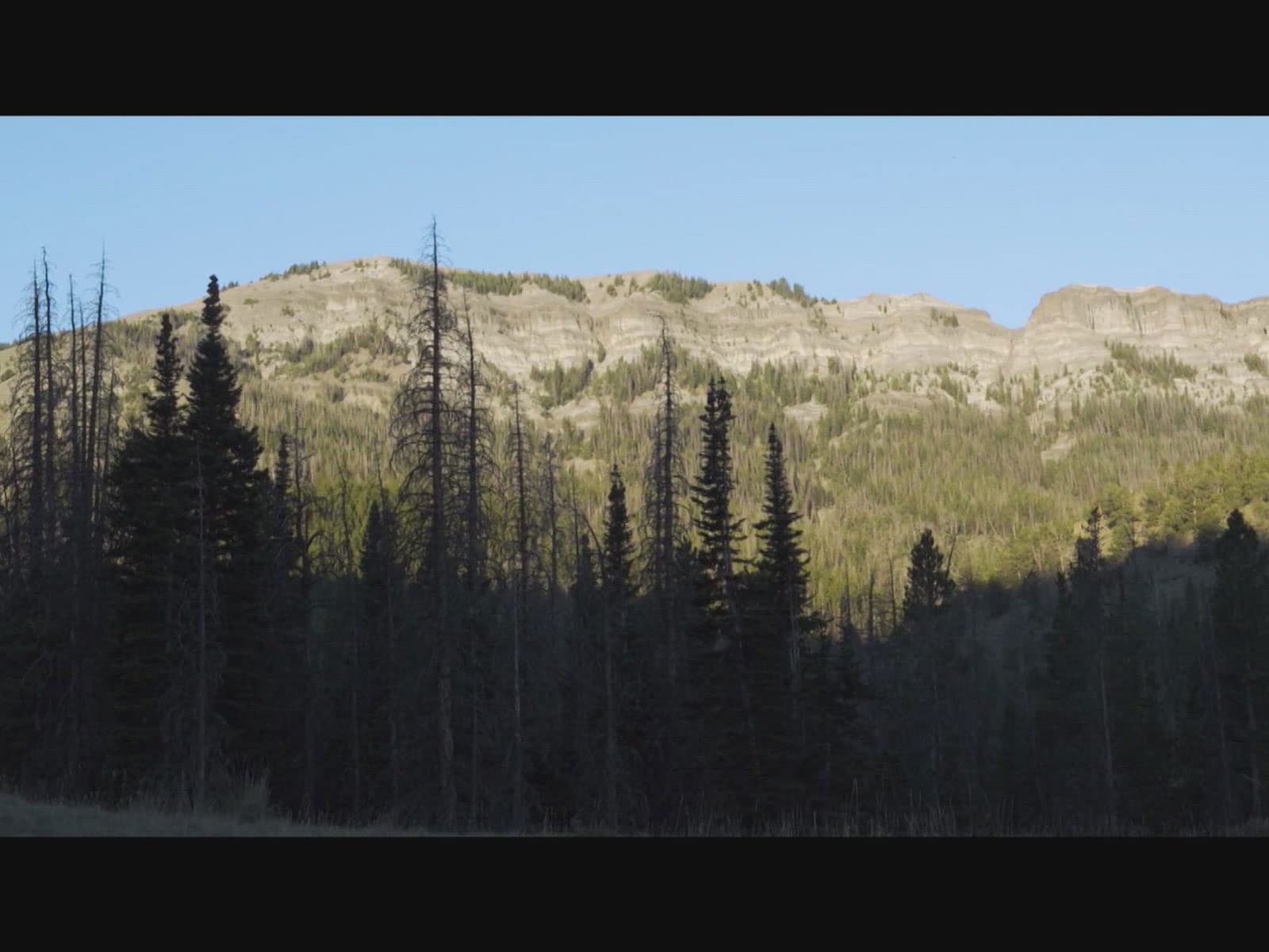 Watch The Western Hunter - Season 10 | Prime Video