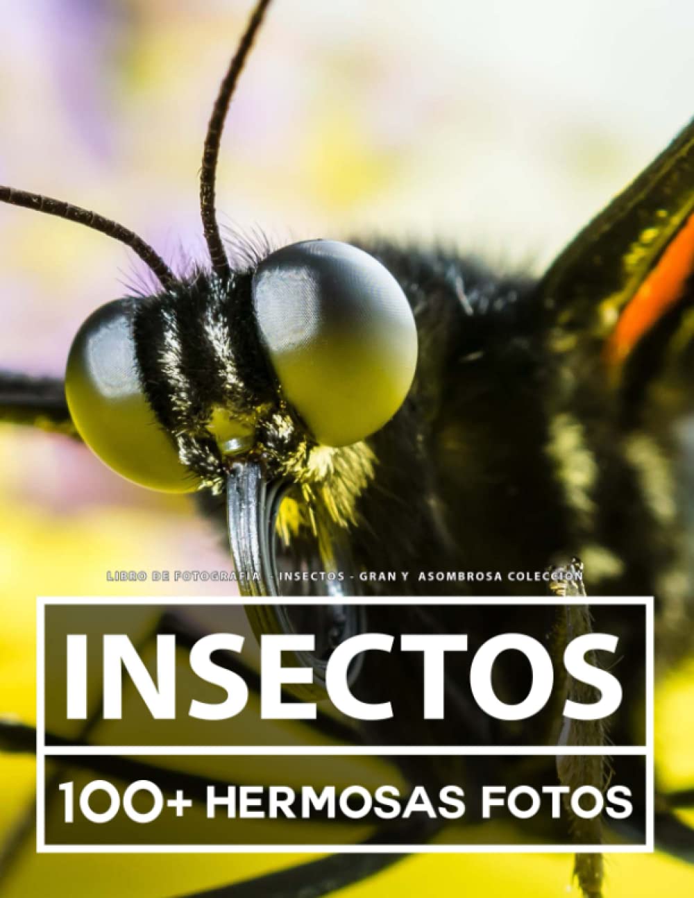 Buy Libro De Fotografía - Insectos - Gran y Asombrosa Colección: 100 ...