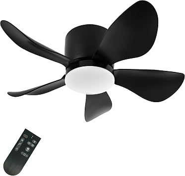 Amazon.com: YJFAN 30 Inch Ceiling Fan with Light,Flush Mount Ceiling ...