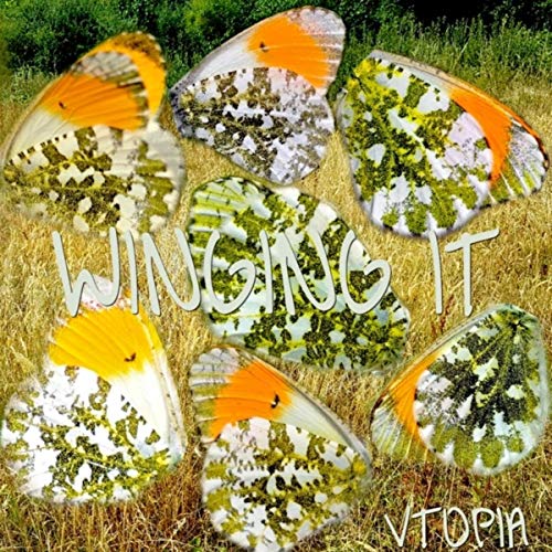 Play Winging It by Vtopia on Amazon Music