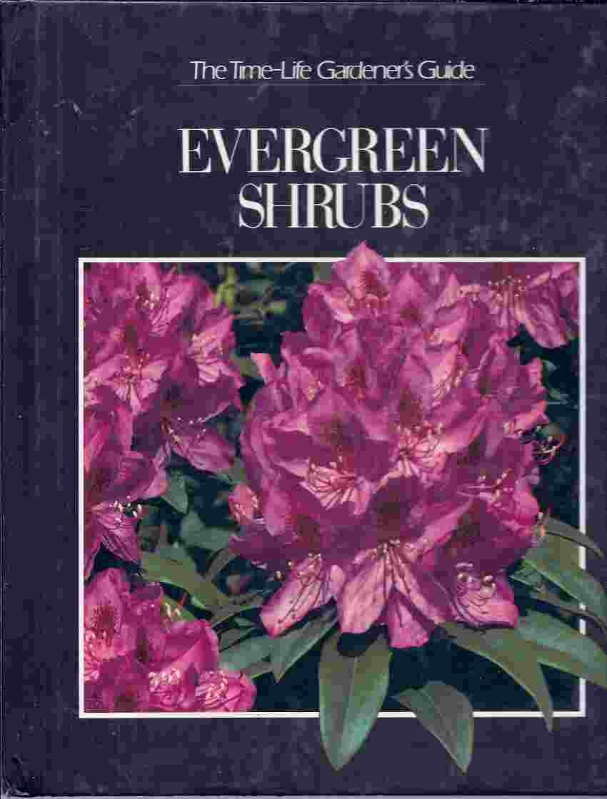 Evergreen Shrubs: Unknown: 9780809466252: Amazon.com: Books