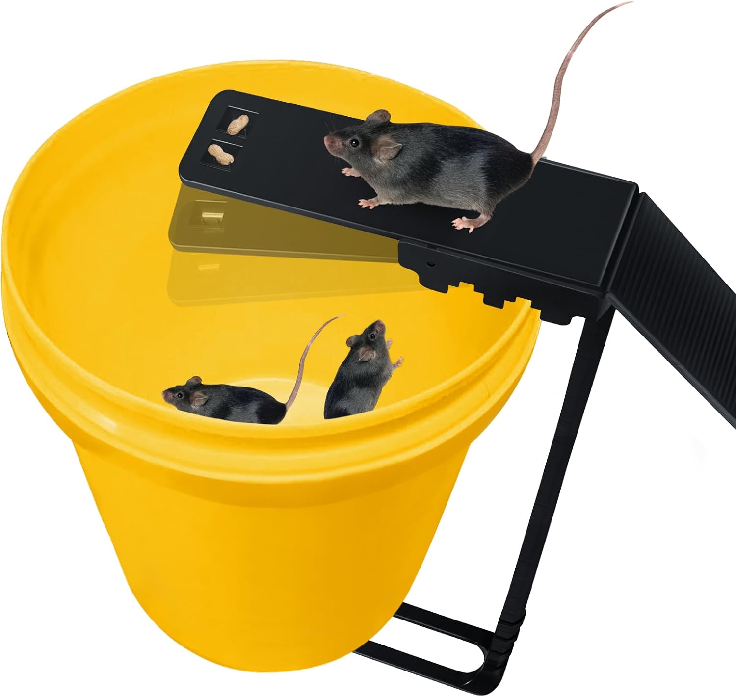 Amazon.com : Bucket Mouse Trap, Walk The Plank Rat Trap Multi Catch ...
