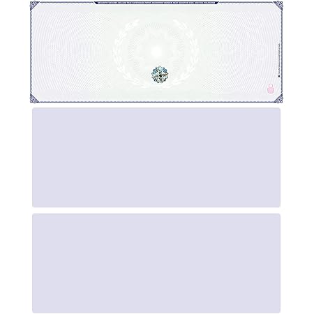 Amazon.com : EZ Checks Premium Blank Hologram High Security Laser Check ...