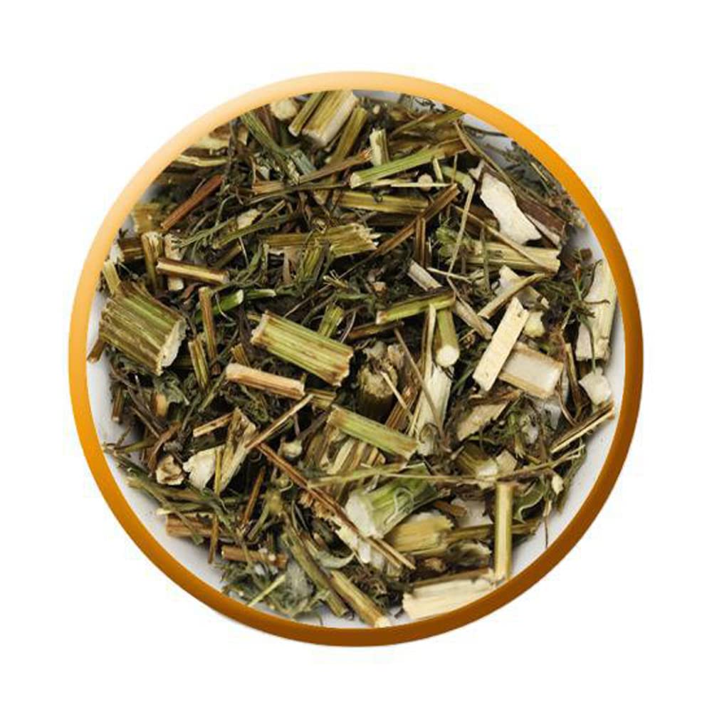 Amazon.com : Artemisia Annua,Artemisia Annua Tea Artemisia Annua ...