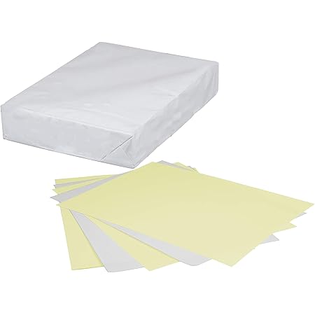 Amazon.com : Limited Papers(TM) Paper, Carbonless Sheets, Superior, Pre ...
