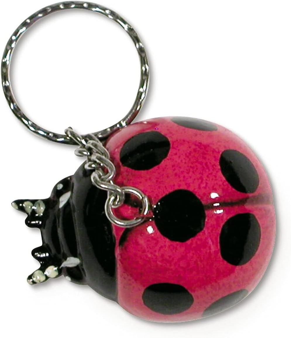 Amazon.com: XL Hand Painted Ladybug Insect Key Chain : Clothing, Shoes ...