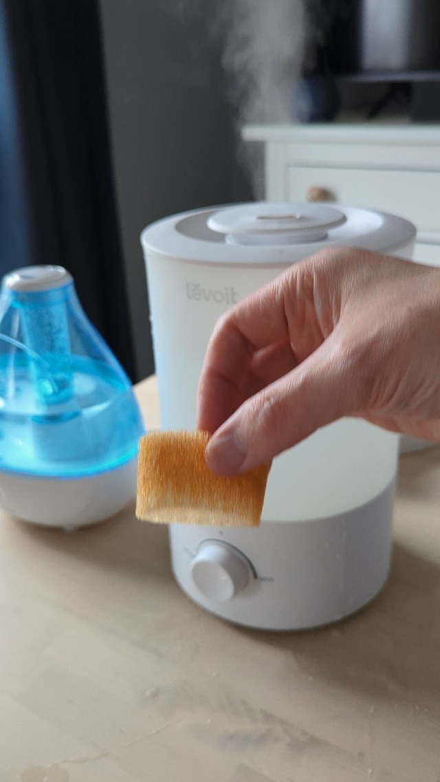 Watch What a LEVOIT HUMIDIFIER FILTER looks like after 8 weeks on ...