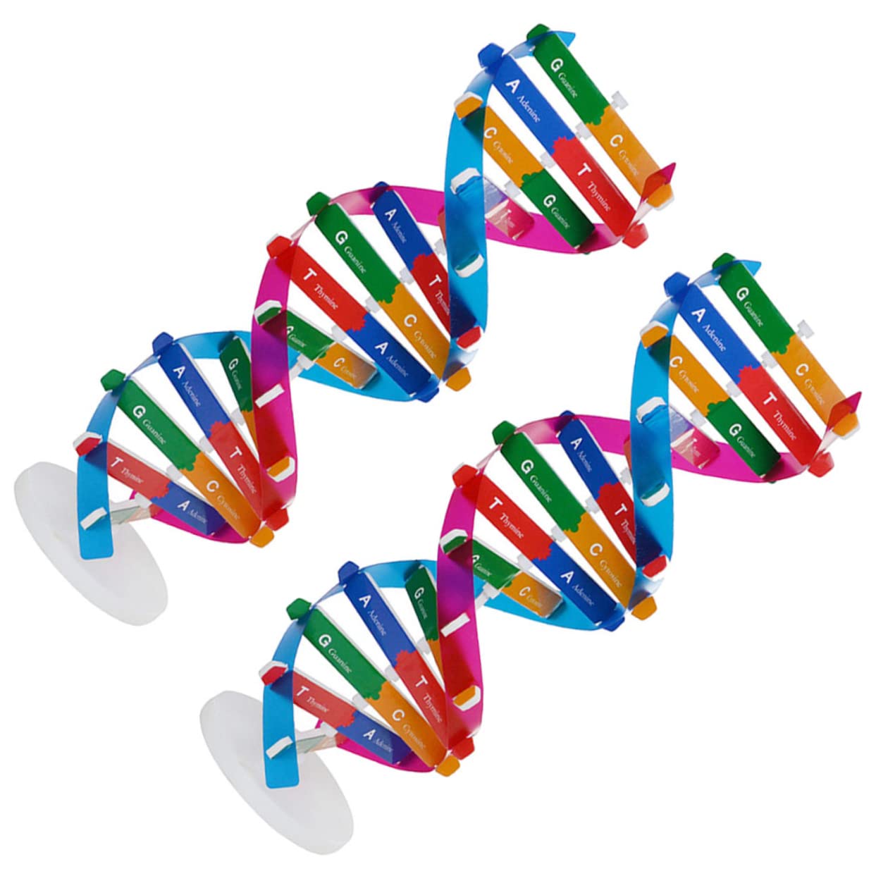 Dna Replication Model Ideas DNA Replication | Ivy Tech BIOL 101