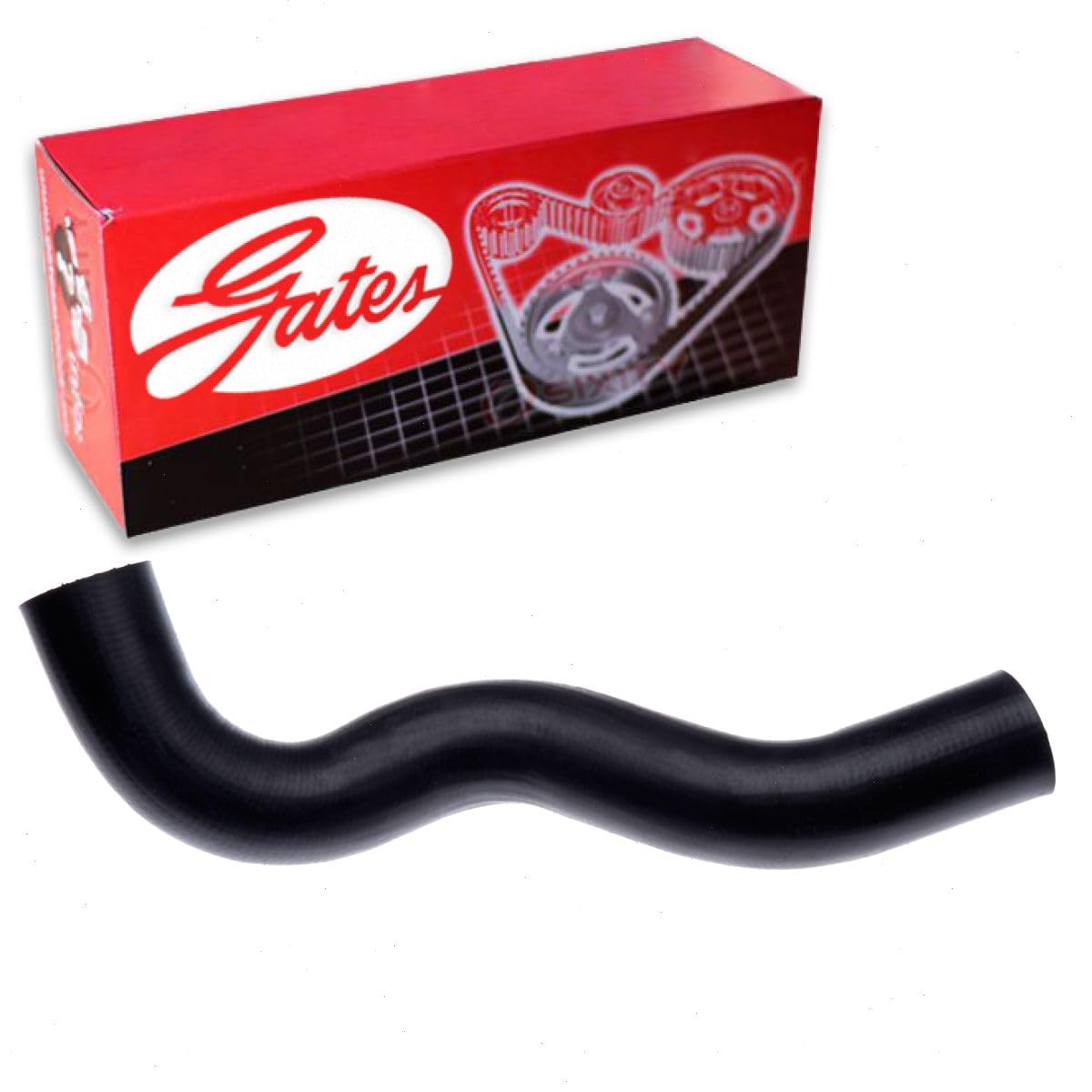 Amazon.com: Gates Upper Radiator Coolant Hose compatible with Ford F ...