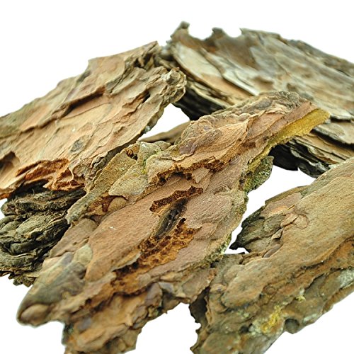 Amazon.com : Teriya Changbai Mountain wild wild pure pine bark of Pinus ...