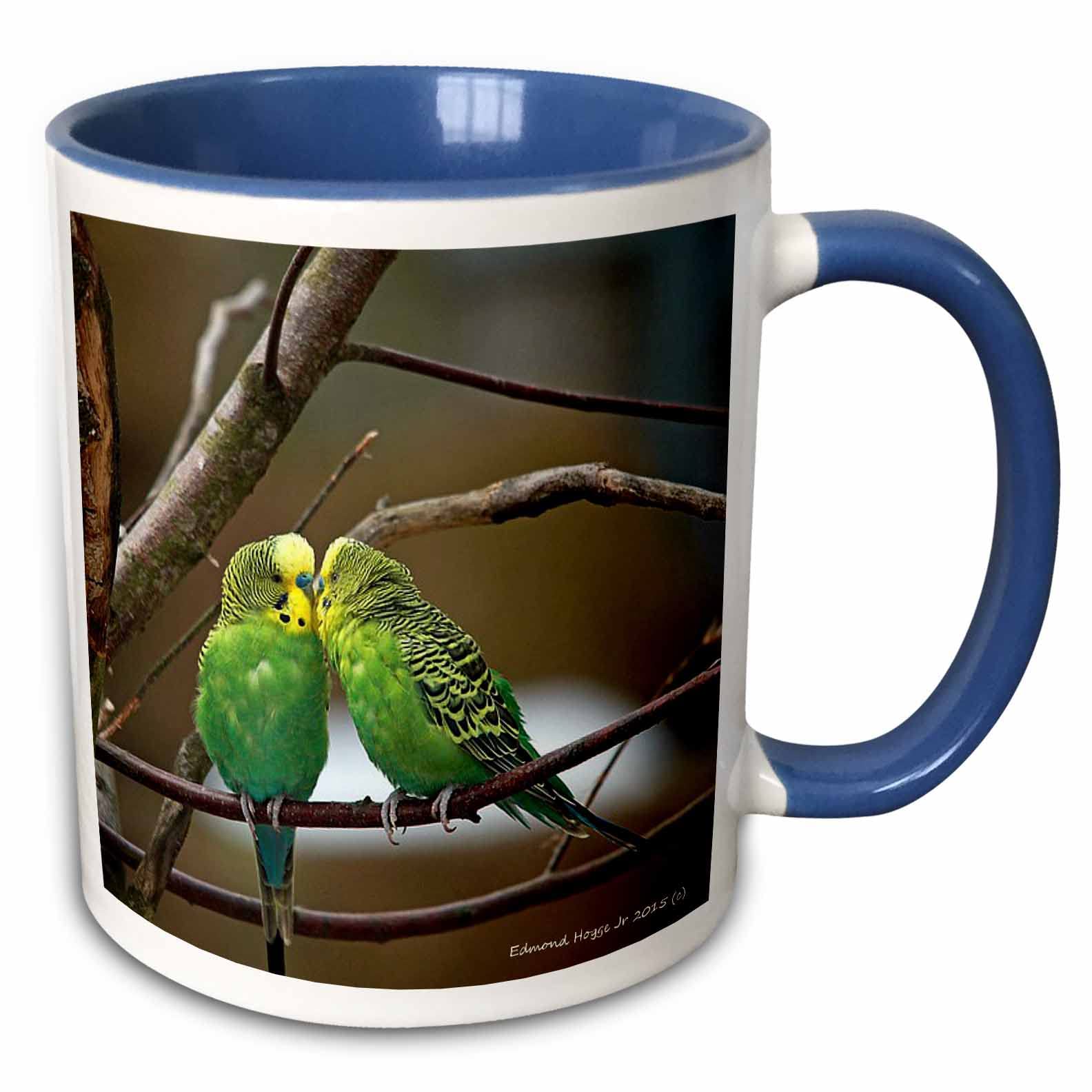 10 Best Parakeet Bird Mugs: Top 10 Picks - Hummingbirds Plus