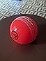 Flash Rubber Synthetic Ball i10 for Cricket Practice (Regular Size ...