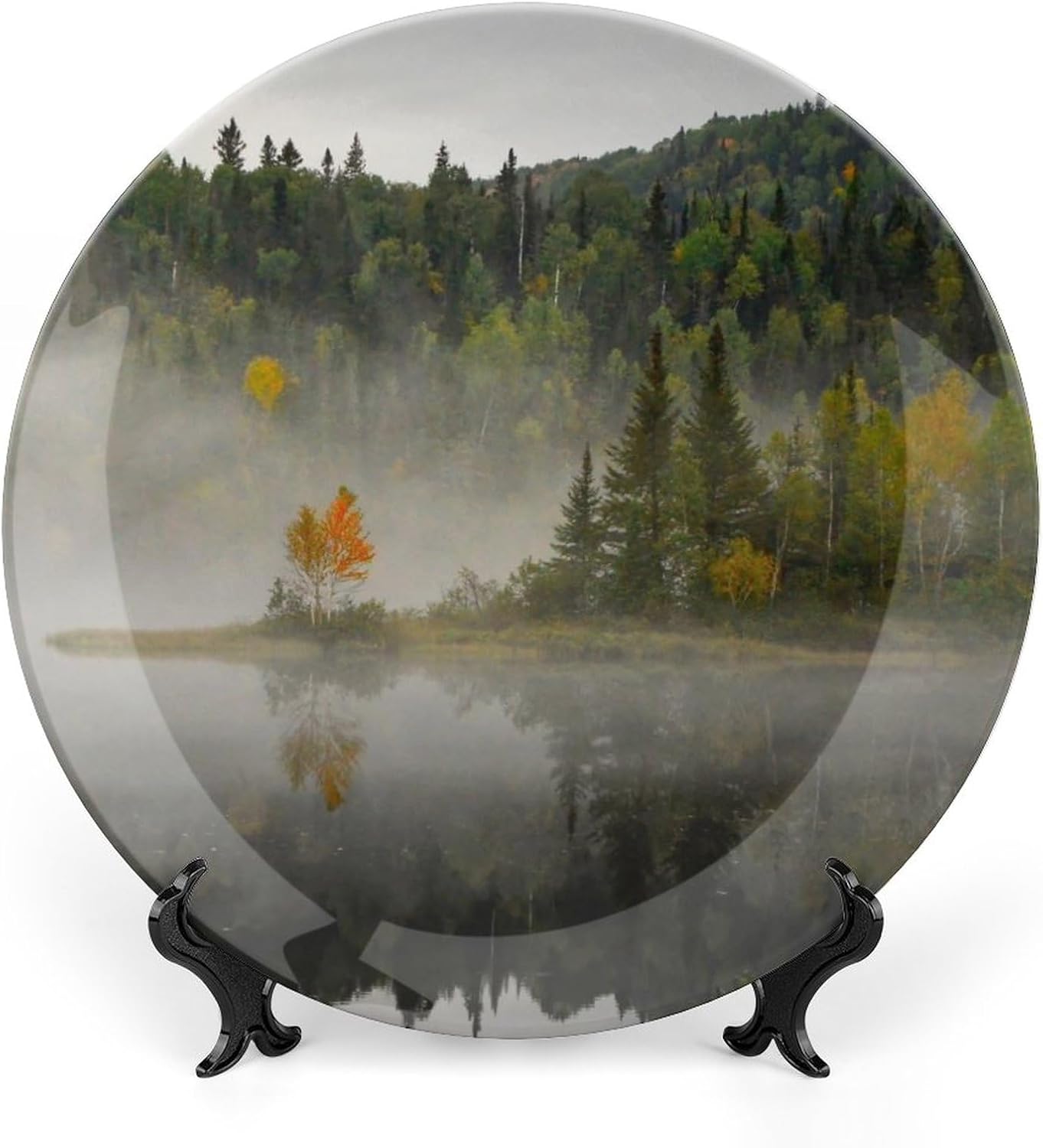 Amazon.com: Decorative Wall Plate Nature Landscape Fog Trees Ceramic ...