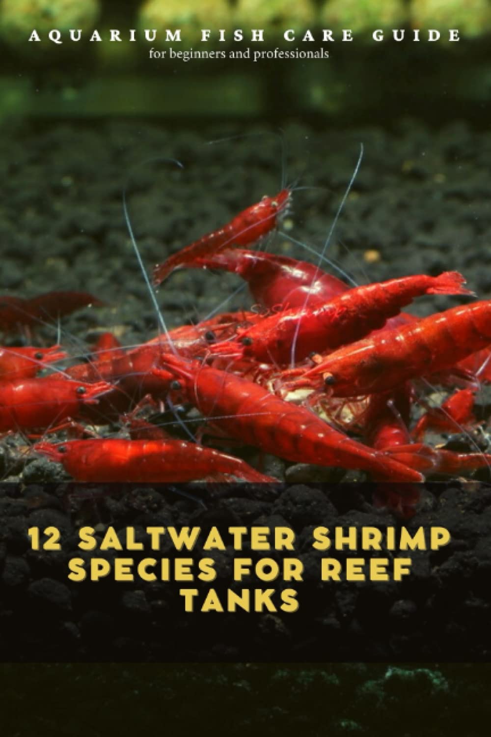 Buy 12 Saltwater Shrimp Species for Reef Tanks: Aquarium fish care ...
