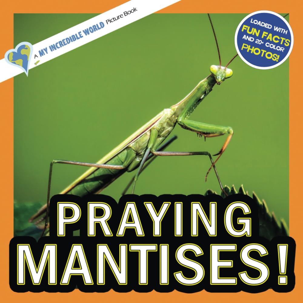 Praying Mantises!: A My Incredible World Picture Book for Children (My ...