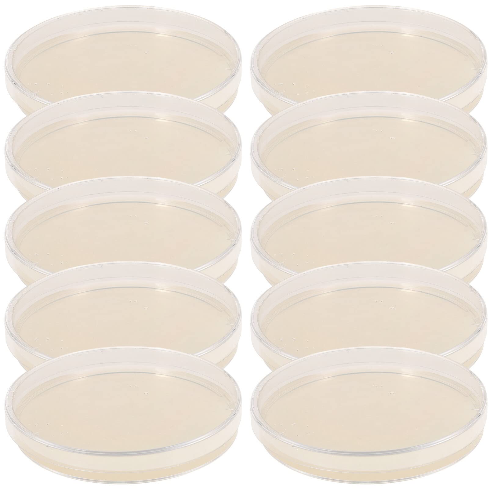 Buy Mipcase 10pcs Agar Plates- Science Prepoured Petri Dish Petri ...