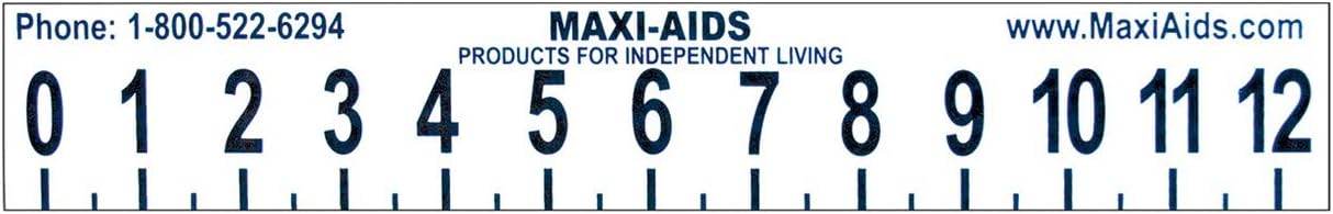 Amazon.com: Large Print 12 inch Ruler with Braille Illustrated Alphabet ...