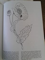 Medicinal Plants Coloring Book (Dover Nature Coloring Book): Arbel ...