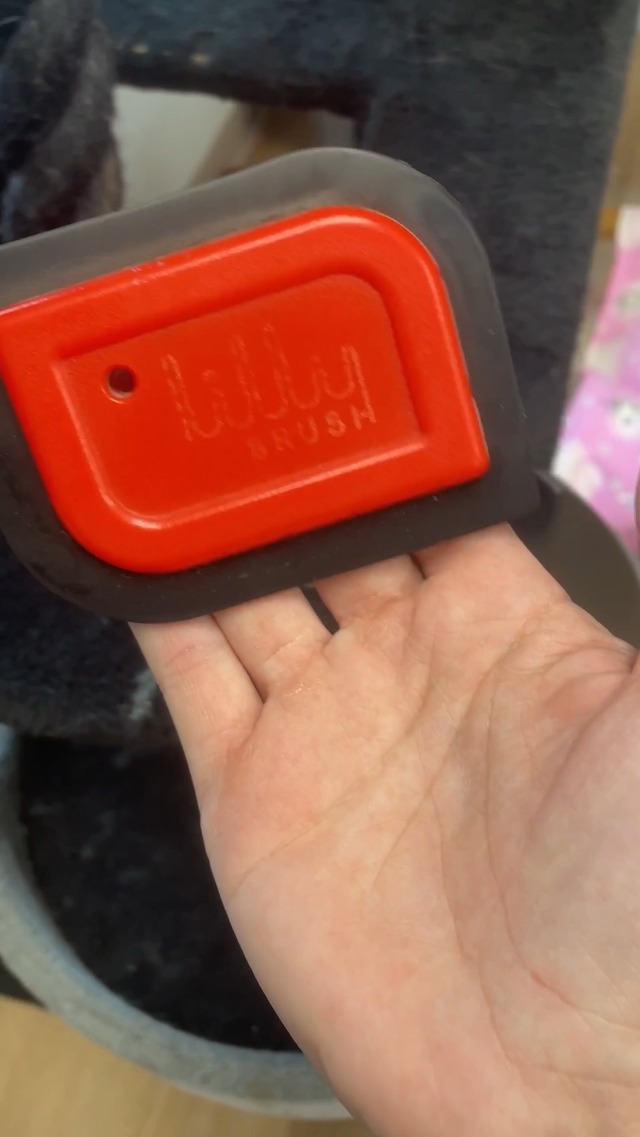 Watch It's time for Spring Cleaning! #cats #pets on Amazon Live