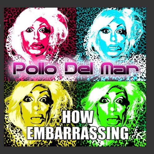 Amazon.com: How Embarrassing: CDs & Vinyl