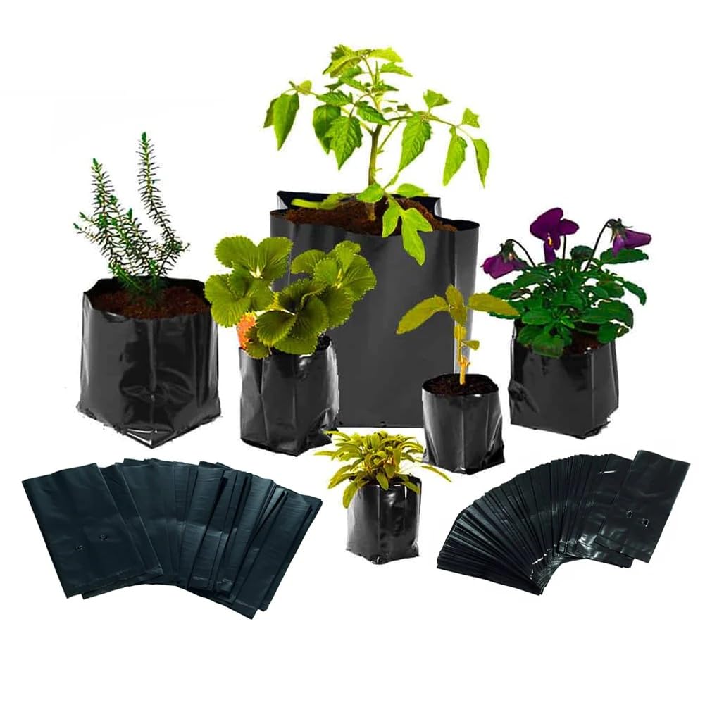 ODDIAN® Nursery Grow Bags Small of Size 6X9 Inches - 50 Pisces | Grow ...