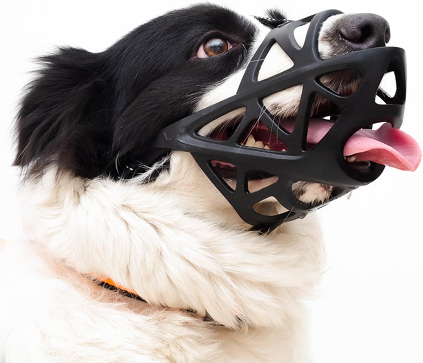 Amazon.com : Dog Basket Muzzle for Small Medium Large Dogs Grooming ...