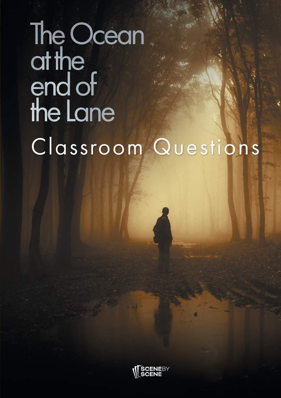 Amazon.com: The Ocean at the End of the Lane Classroom Questions ...