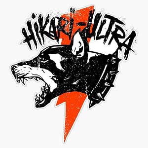 Amazon.com: Trending Hikari Ultra Vintage Retro Vinyl Sticker Laptop ...