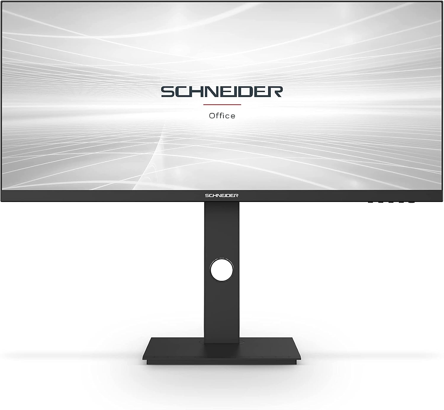 Schneider Monitor 29 Inch (73.6 cm), PC Monitor with UltraWide FHD IPS ...