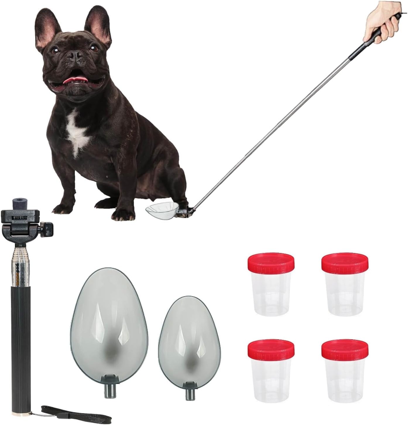 Pet Supplies : Dog Cat Urine Collector Reusable and Telescopic Dog ...